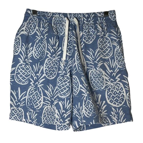 chubbies | Swim | Mens Chubbies Baby Blue And White Pineapple Swim ...